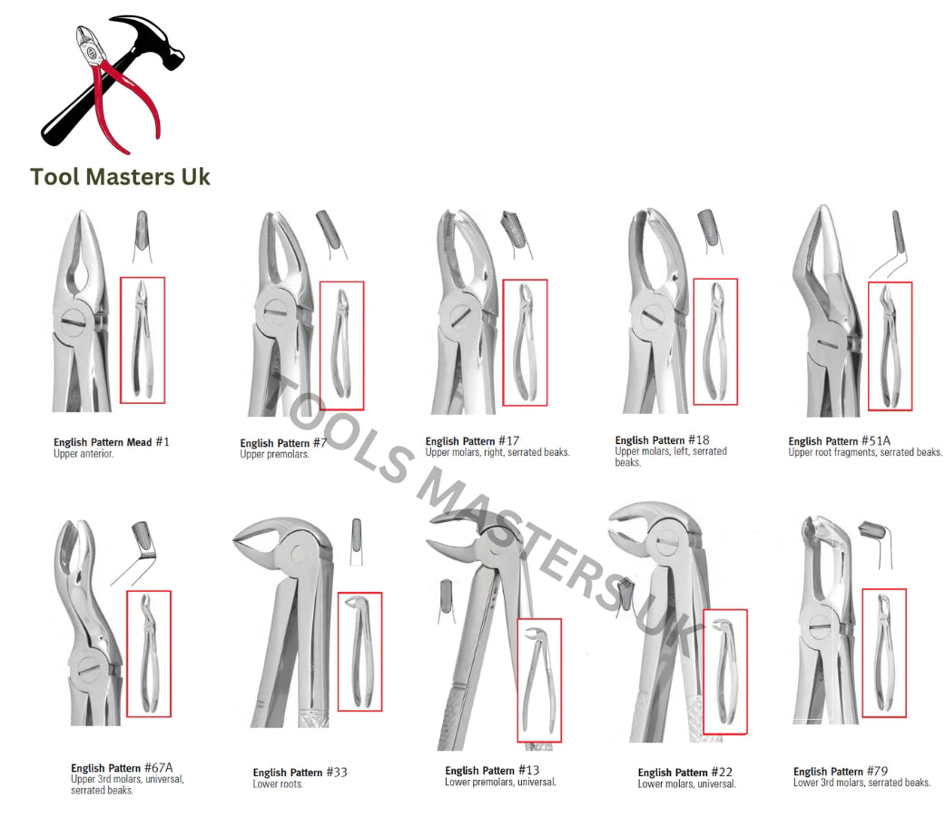 A Glimpse into Healthcare, Lab, and Dental Tools That Transform Lives ...