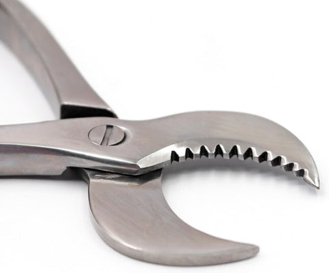 Dental Lab Plaster Cast Cutting Scissors - Stainless Steel Shears and